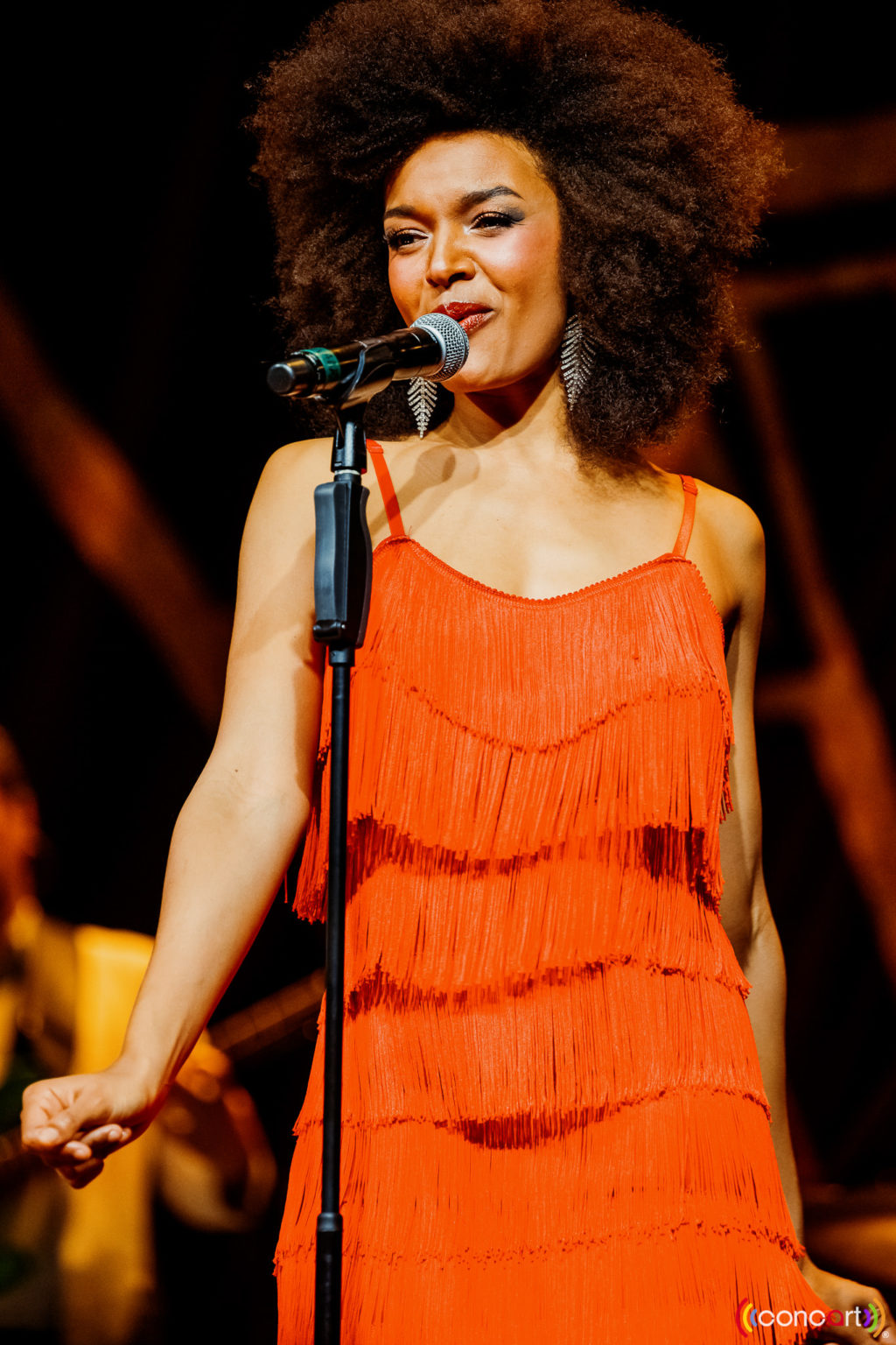 Concert Photos: Postmodern Jukebox — Indianapolis 2024 | concArt | The ...